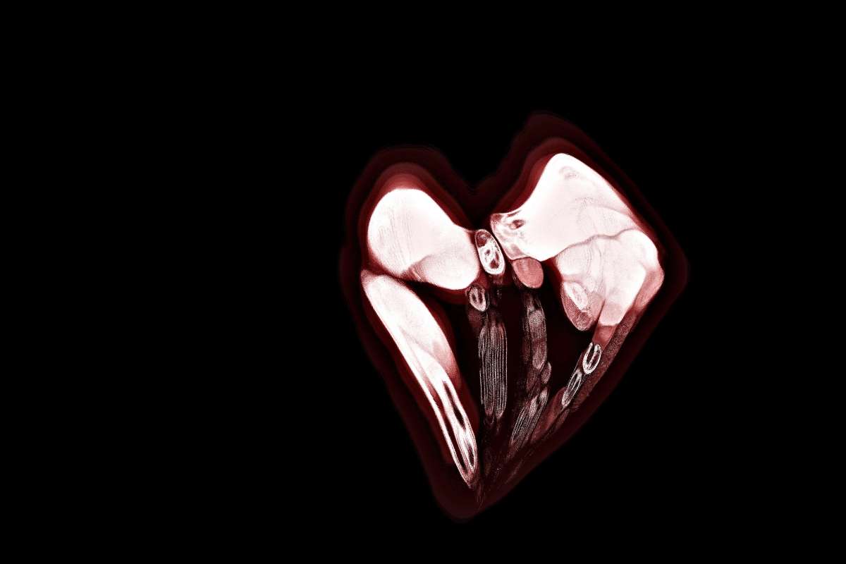 Hello Death. This is my Poetry. – Story Of The Footloose