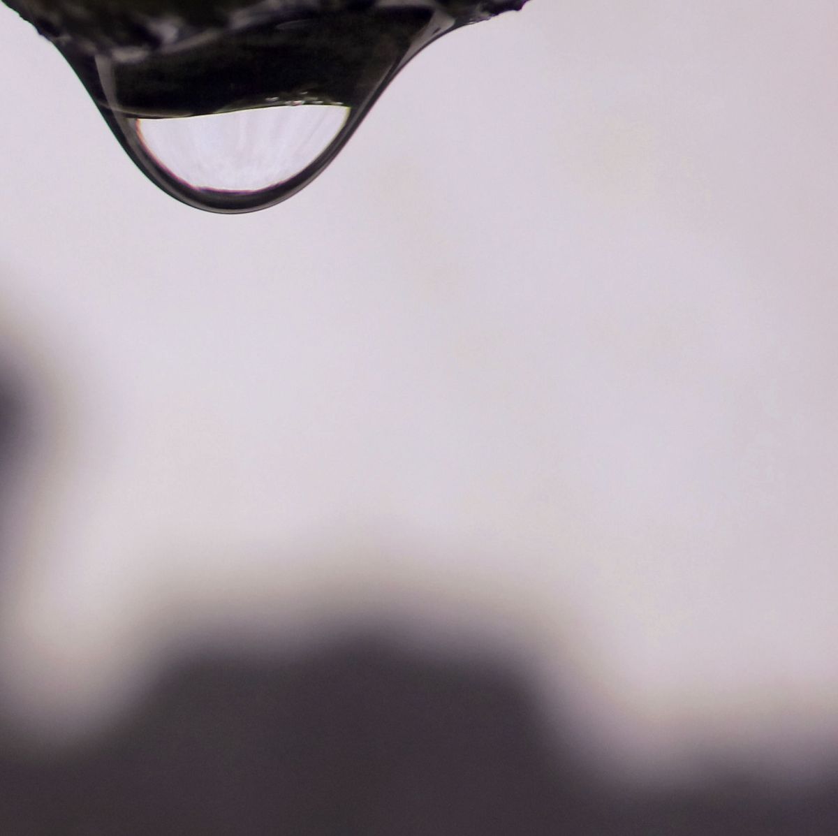 Rain and Reminiscing – Story Of The Footloose